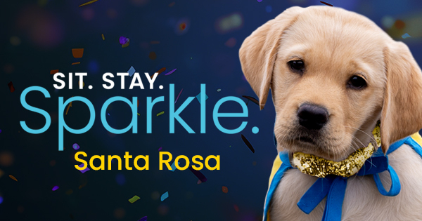 Sit Stay Sparkle Santa Rosa 2026 - Sit Stay Sparkle Santa Rosa